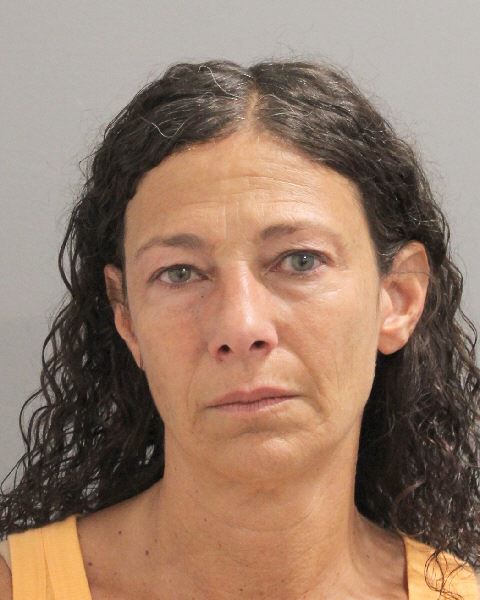 Hicksville Woman Arrested for Stealing from Plainview Employer - Long ...